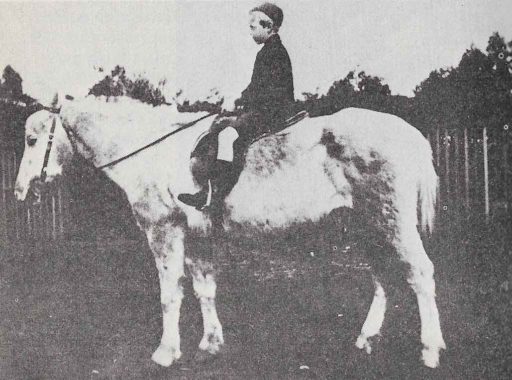 Jim Cairns in Pictures | InsideLives